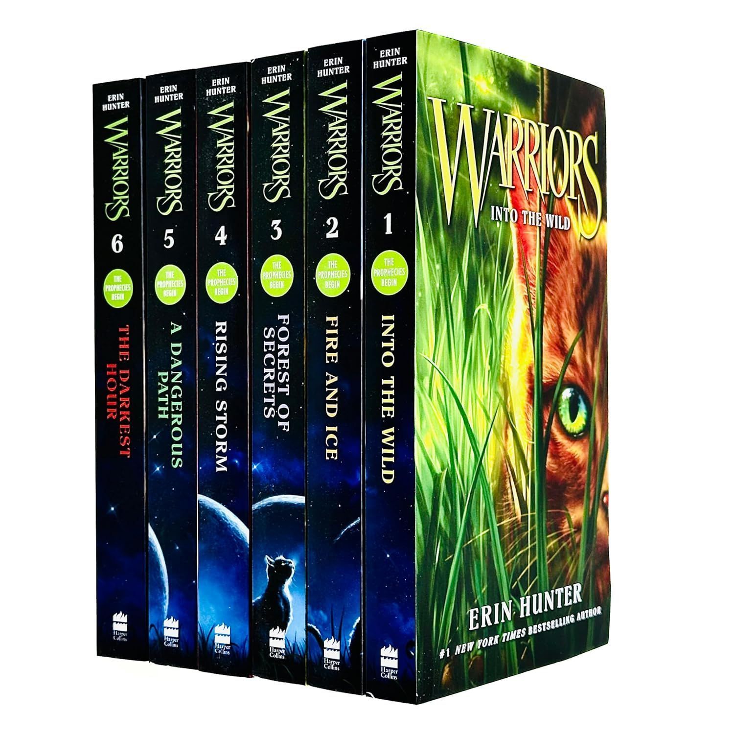 Warrior Cats Series 1 The Prophecies Begin X 6 Books Collection Warrior Cats Series 1 The Prophecies Begin X 6 Books Collection
